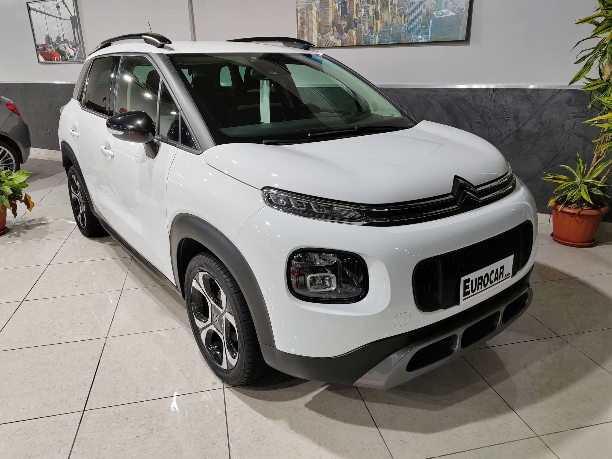 Citroen C3 Aircross1.5 HDi 100cv Aircross