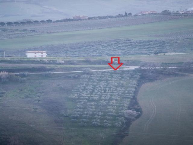 Terreno agricolo in vendita a silvi contrada treciminiere