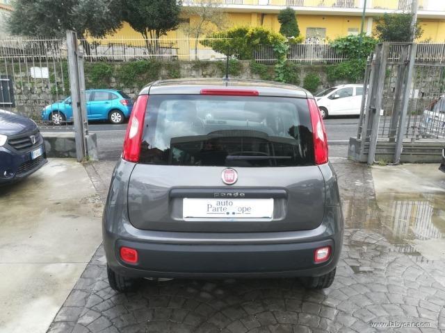 Fiat panda 1.2 easy