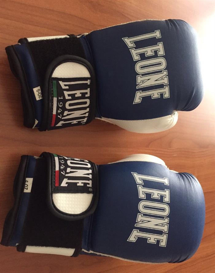 GUANTONI BOXE LEONE RAGAZZO