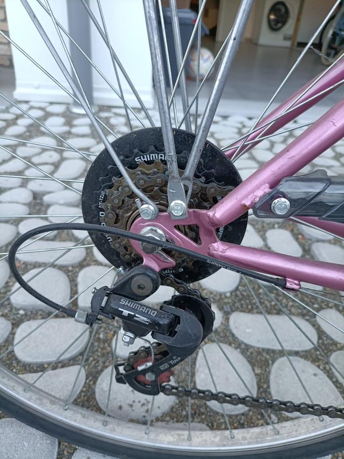 BICI DA DONNA NET BIKE