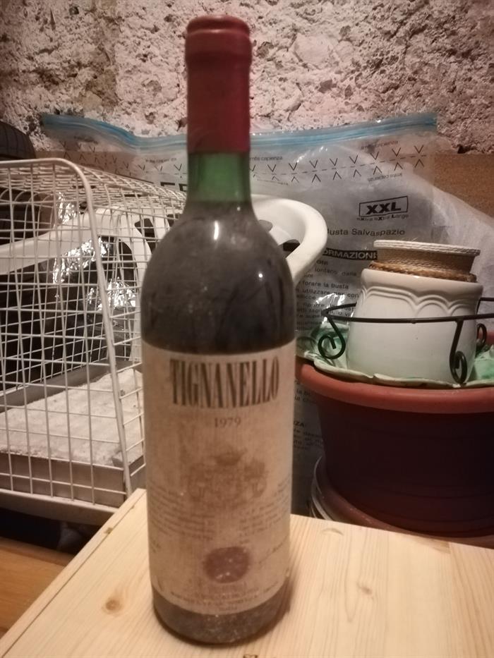 TIGNANELLO ANNO 1979