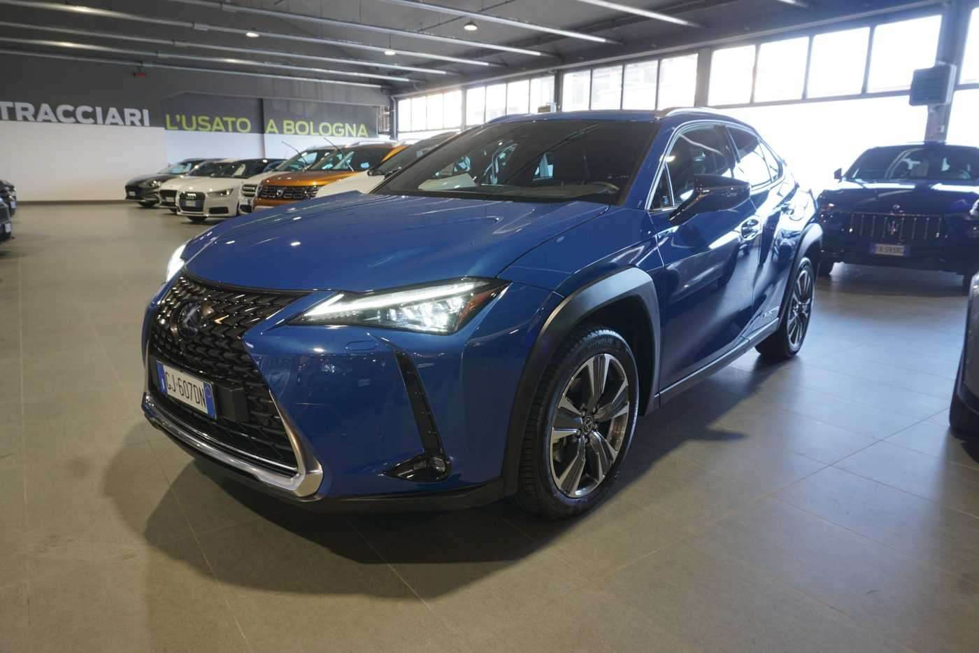 Lexus UX 300eLuxury