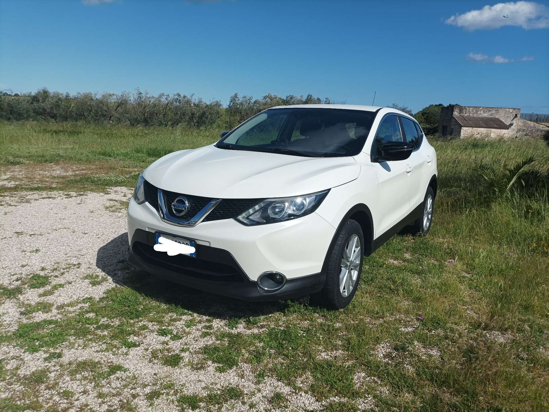 Nissan Qashqai1.5 dci Business 110cv