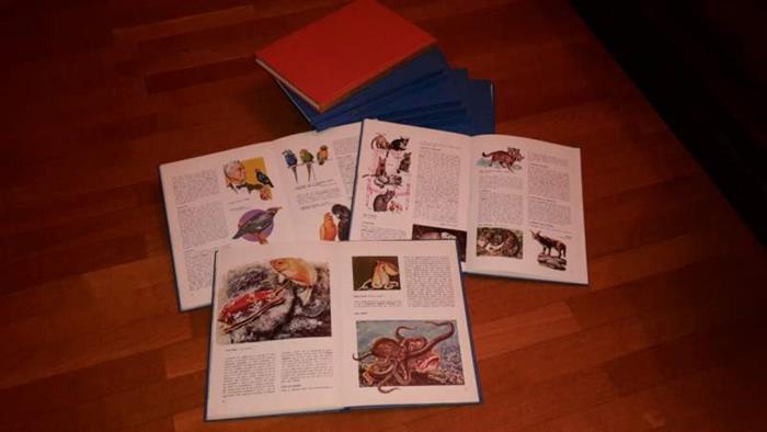 ENCICLOPEDIA ANIMALI