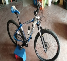  MTB WHISTLE MOJAG carbonio