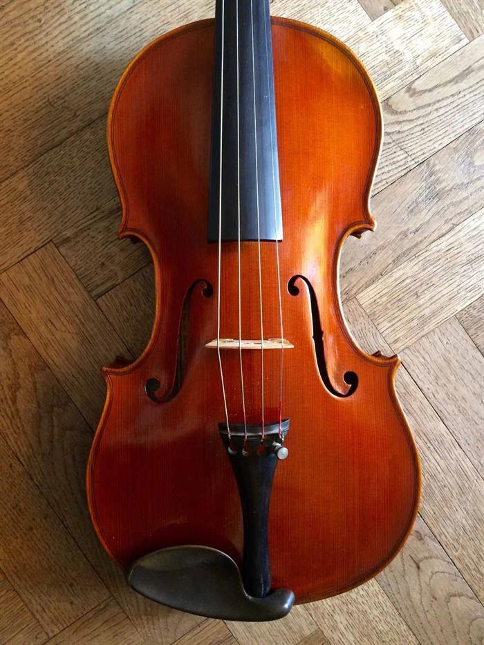 VIOLA