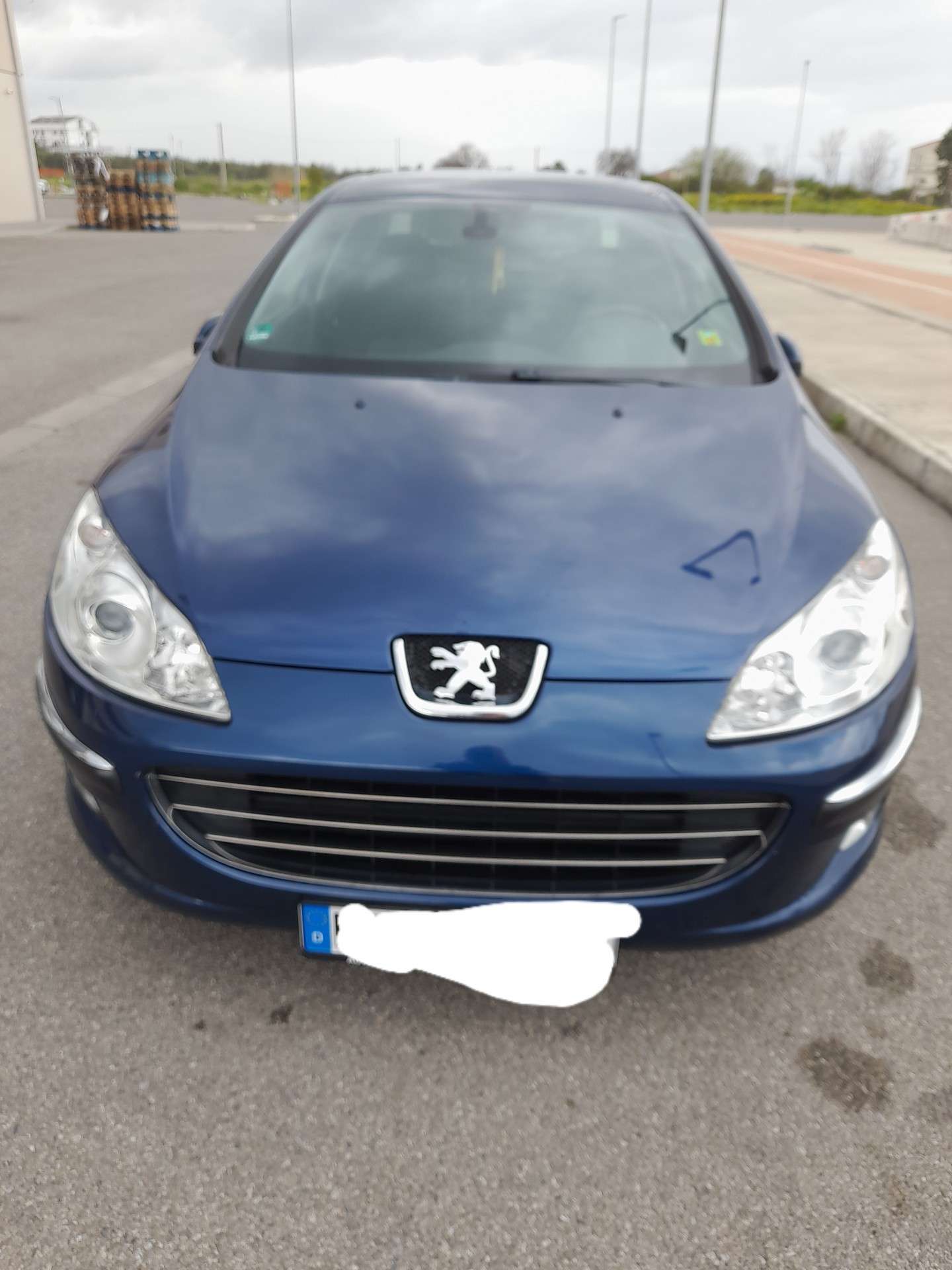 Peugeot 4072.2 16v Executive