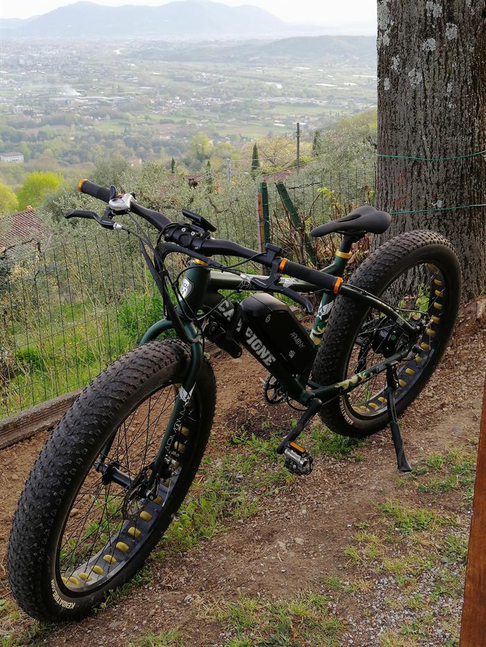 FAT BIKE CON PEDALATA ASSISTITA