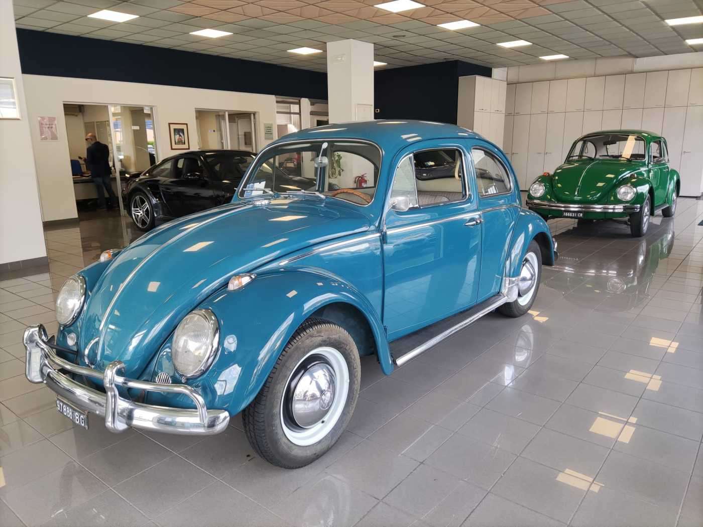 Volkswagen KäferMaggiolino