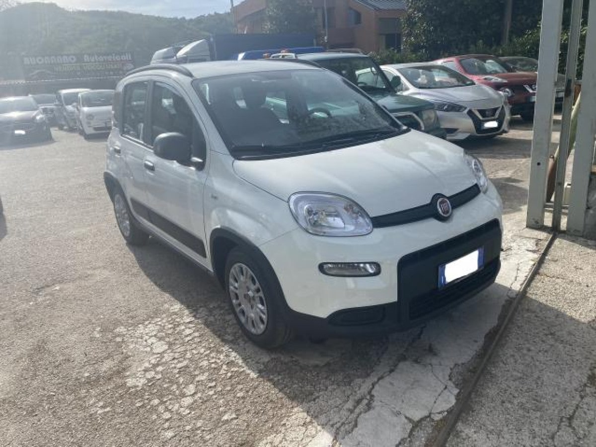 FIAT Panda 3ª serie Panda 1.0 FireFly S&S Hybrid City Cross