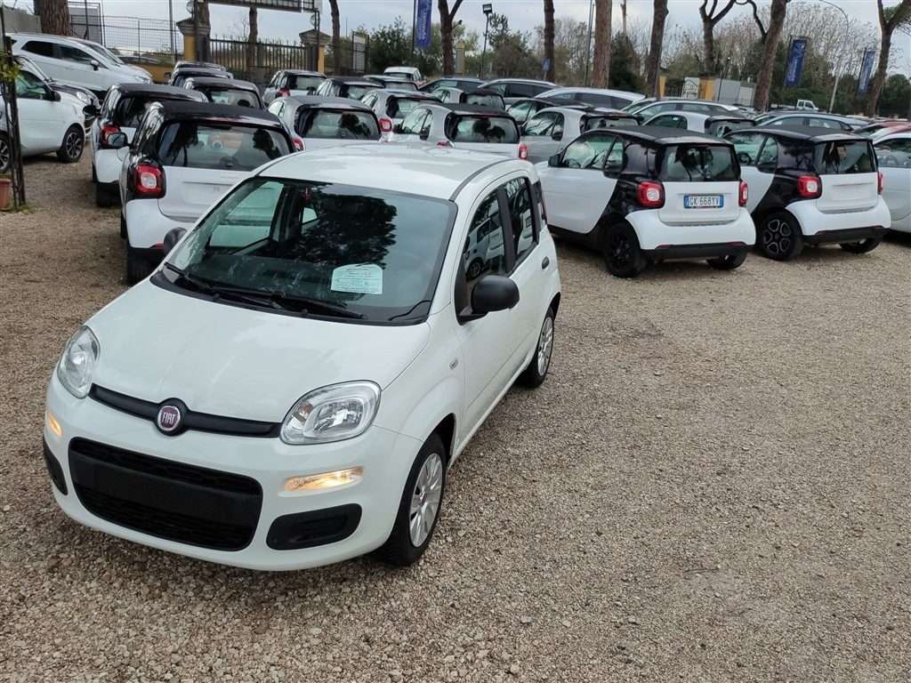 Fiat Panda1.2 69cv CLIMATIZZATORE OK NEOPATENTATI ..