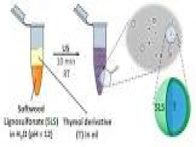 Beltel - pronomic ph12 ultimo modello