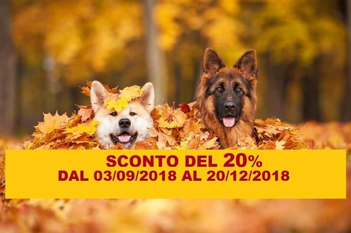 ASILO PER CANI - DOG SITTING