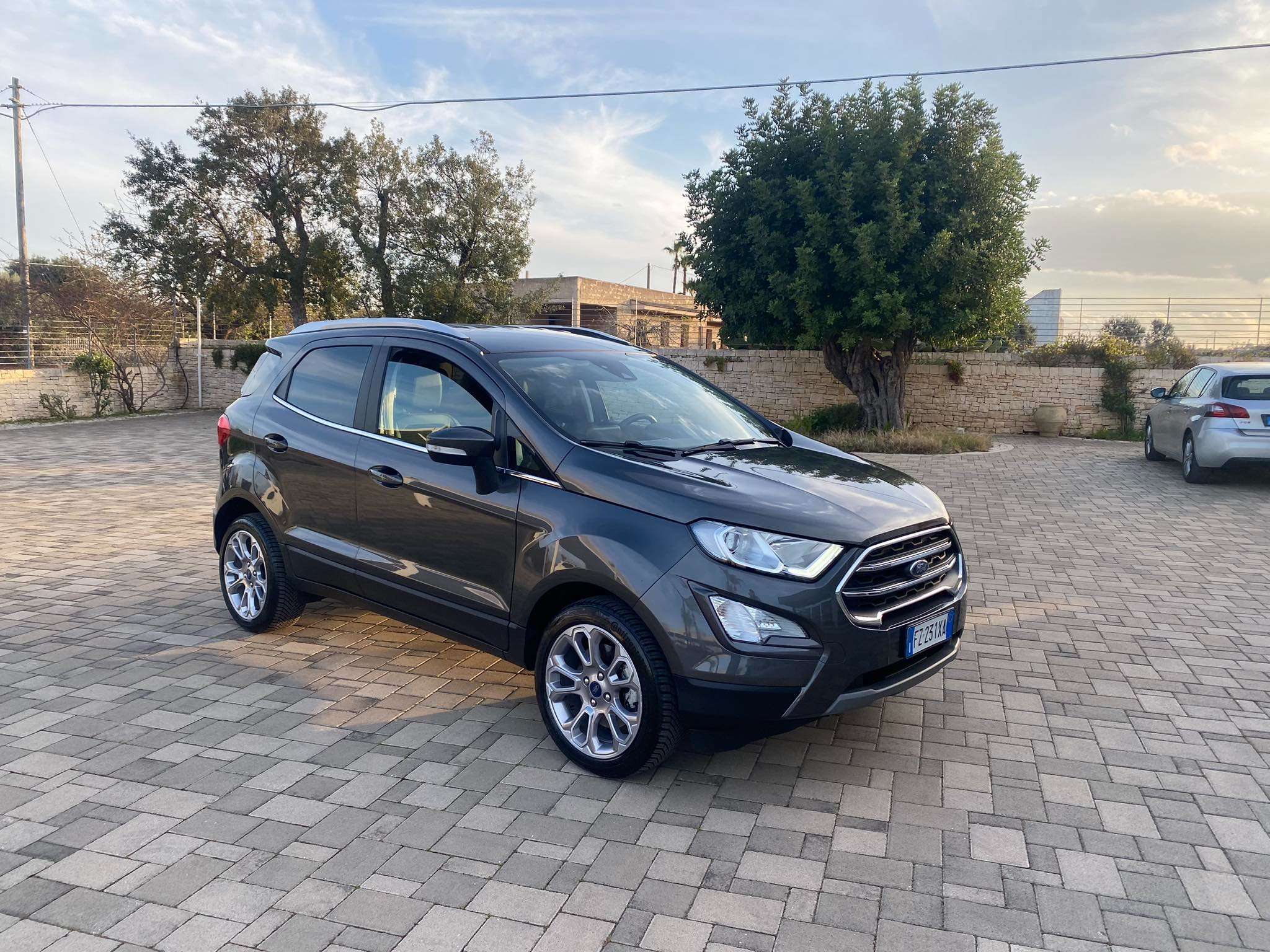 Ford EcoSportEcoSport 1.0 ecoboost Titanium s