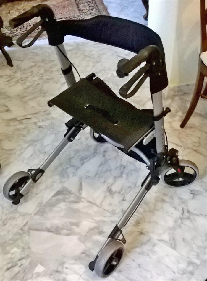 CARRELLO PER CAMMINATA ASSISTITA