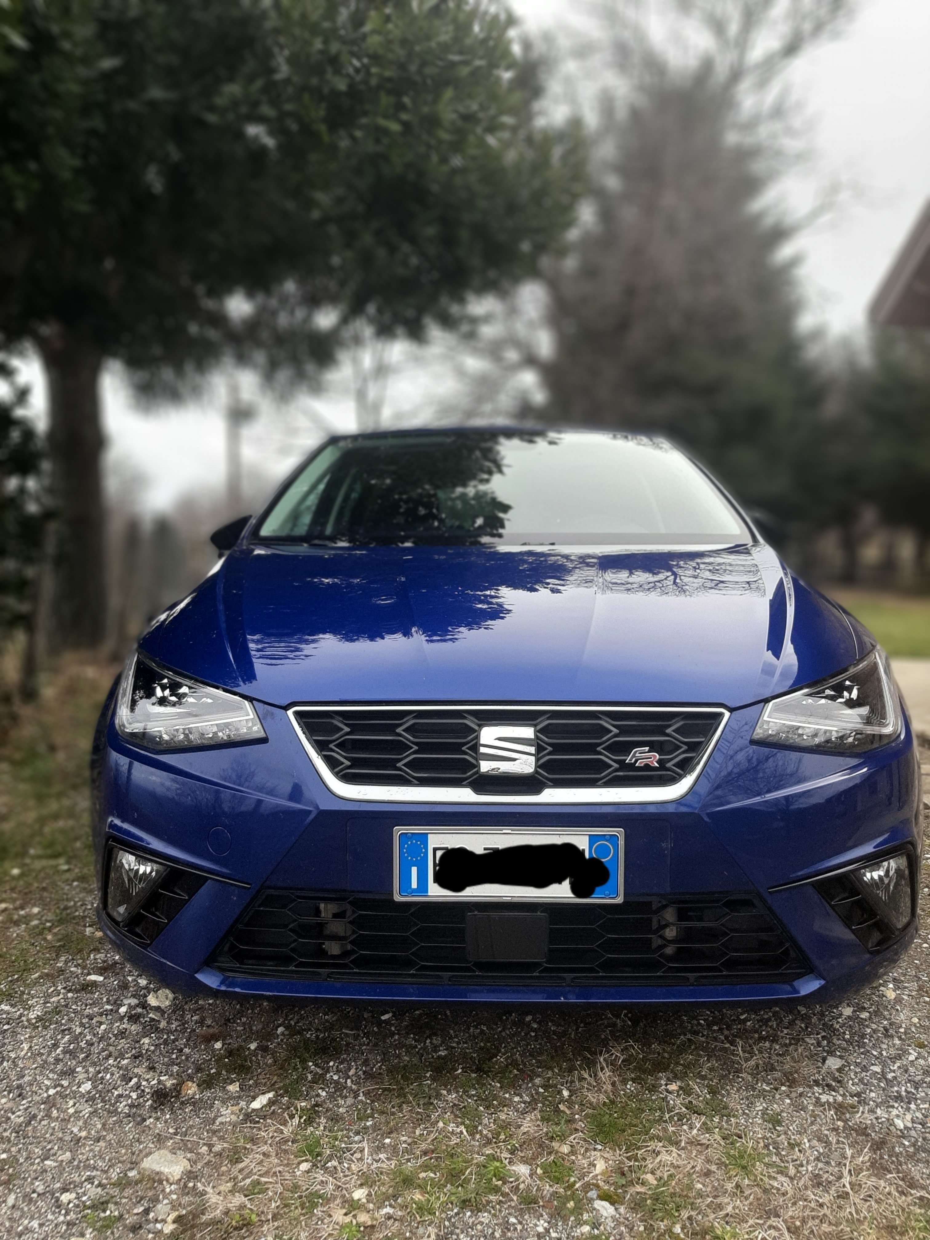 SEAT Ibiza1.6 tdi FR 115cv