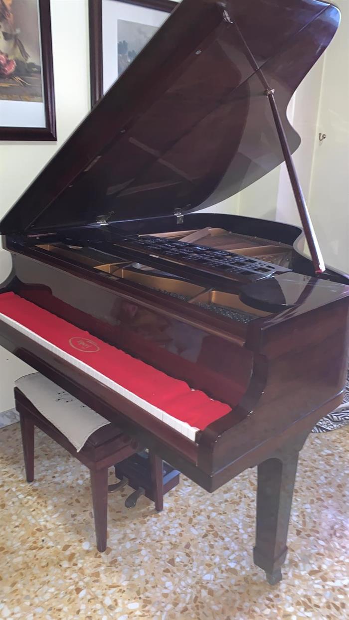 PIANOFORTE A MEZZA CODA