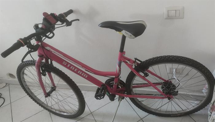 BICICLETTA DA DONNA