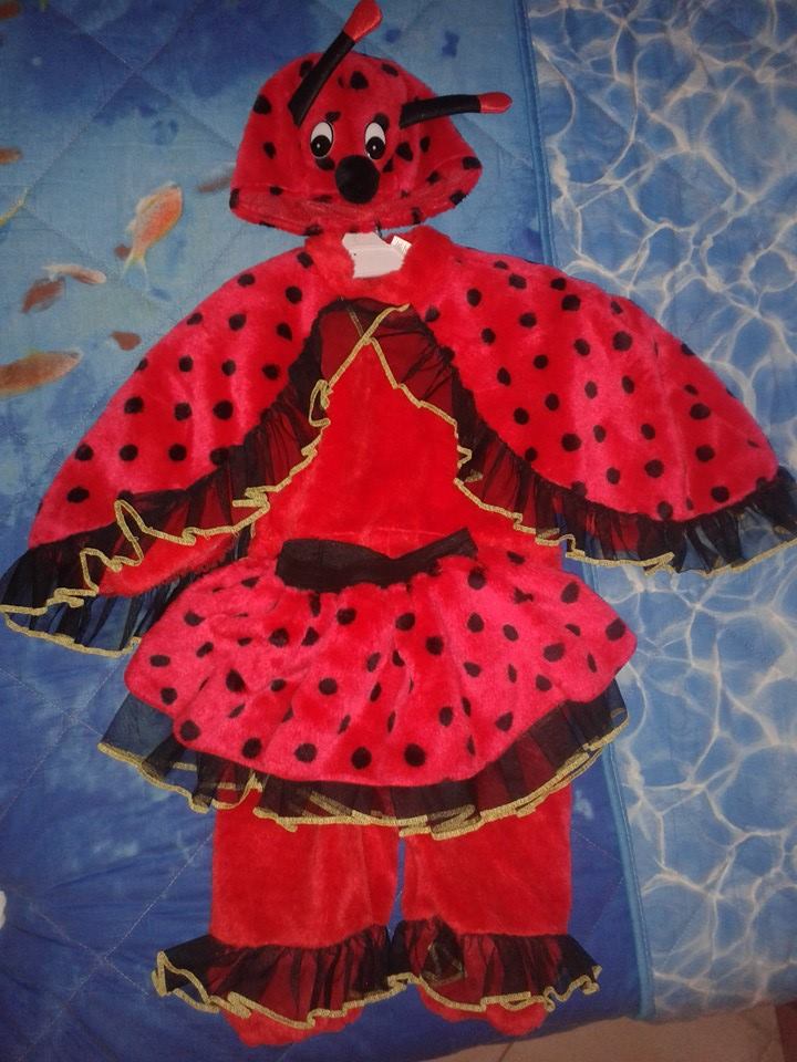 VESTITO CARNEVALE COCCINELLA FELPATO