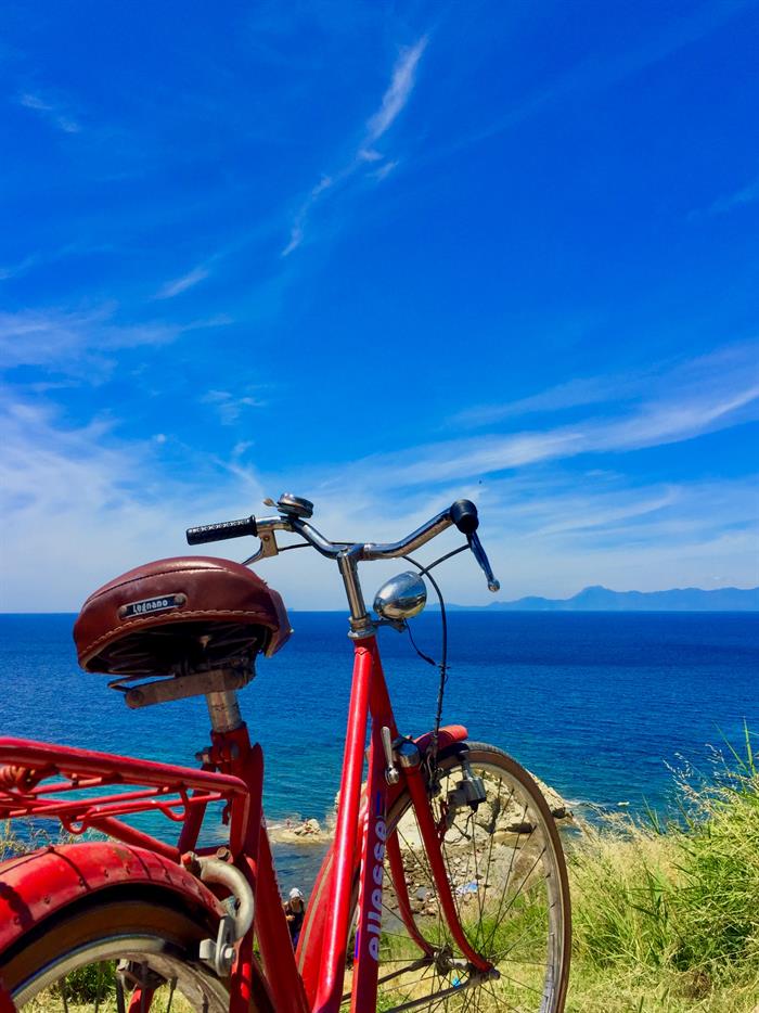 BICICLETTE DA PASSEGGIO