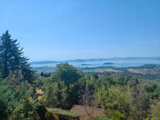 Villa in vendita a tuoro sul trasimeno periferia