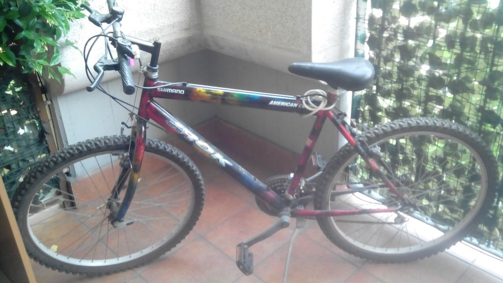 VENDO MOUNTANBIKE MASCHILE