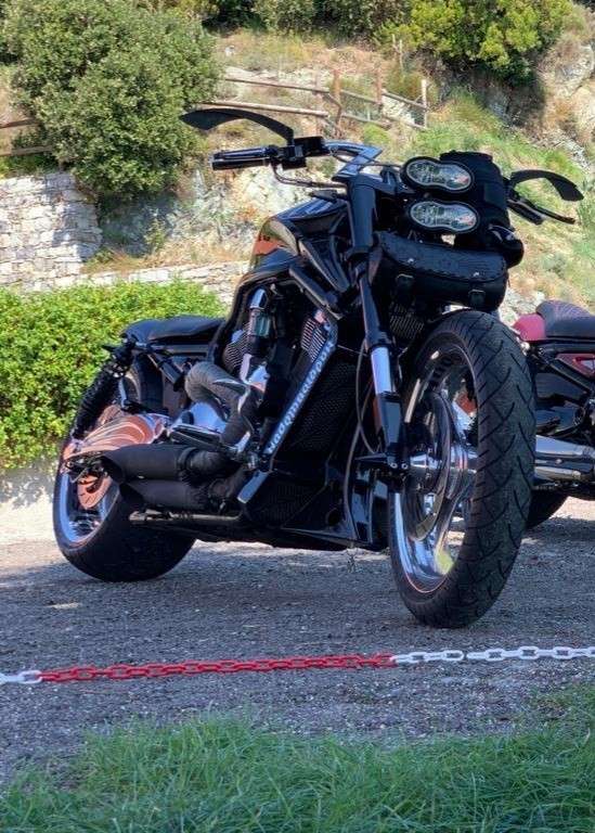 Harley-Davidson VRSC V-Rodesemplare unico omologata