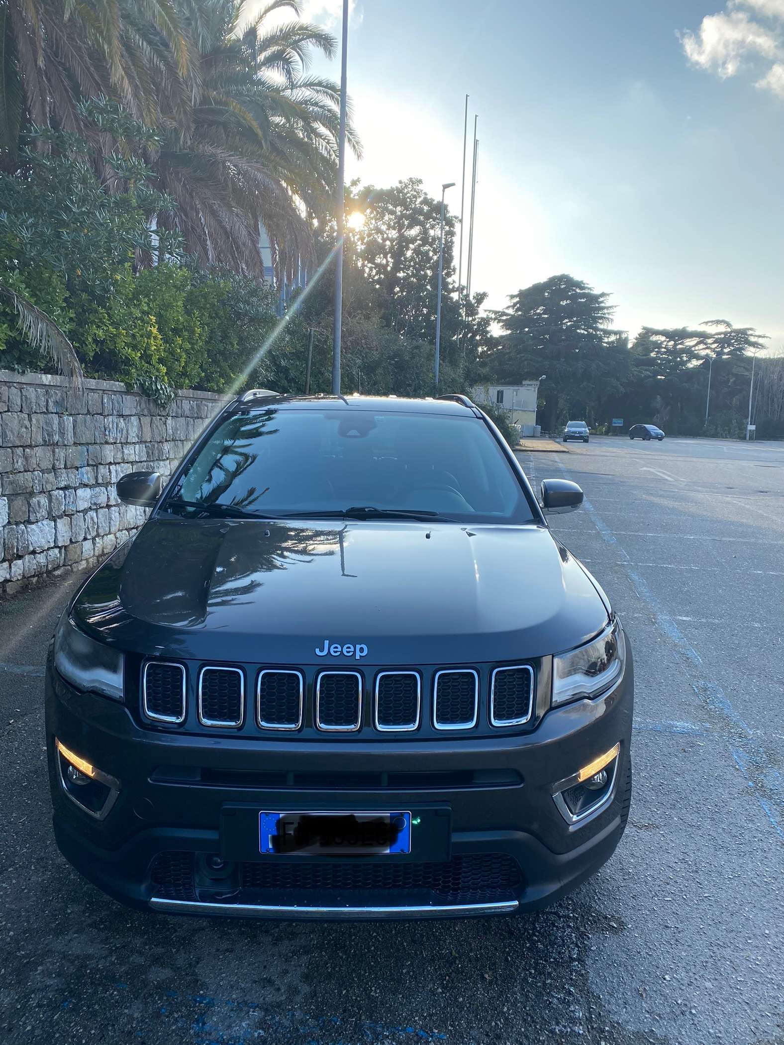 Jeep CompassCompass 1.6 mjt Limited 2wd 120cv