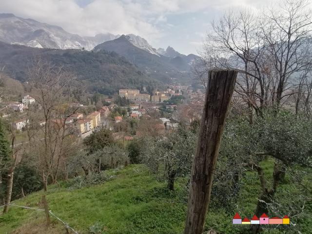 Carrara terreno agricolo