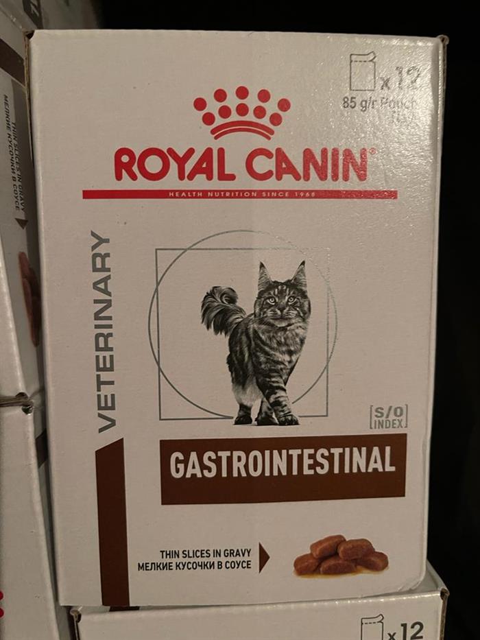 ROYAL CANIN GASTROINTESTINAL GATTO