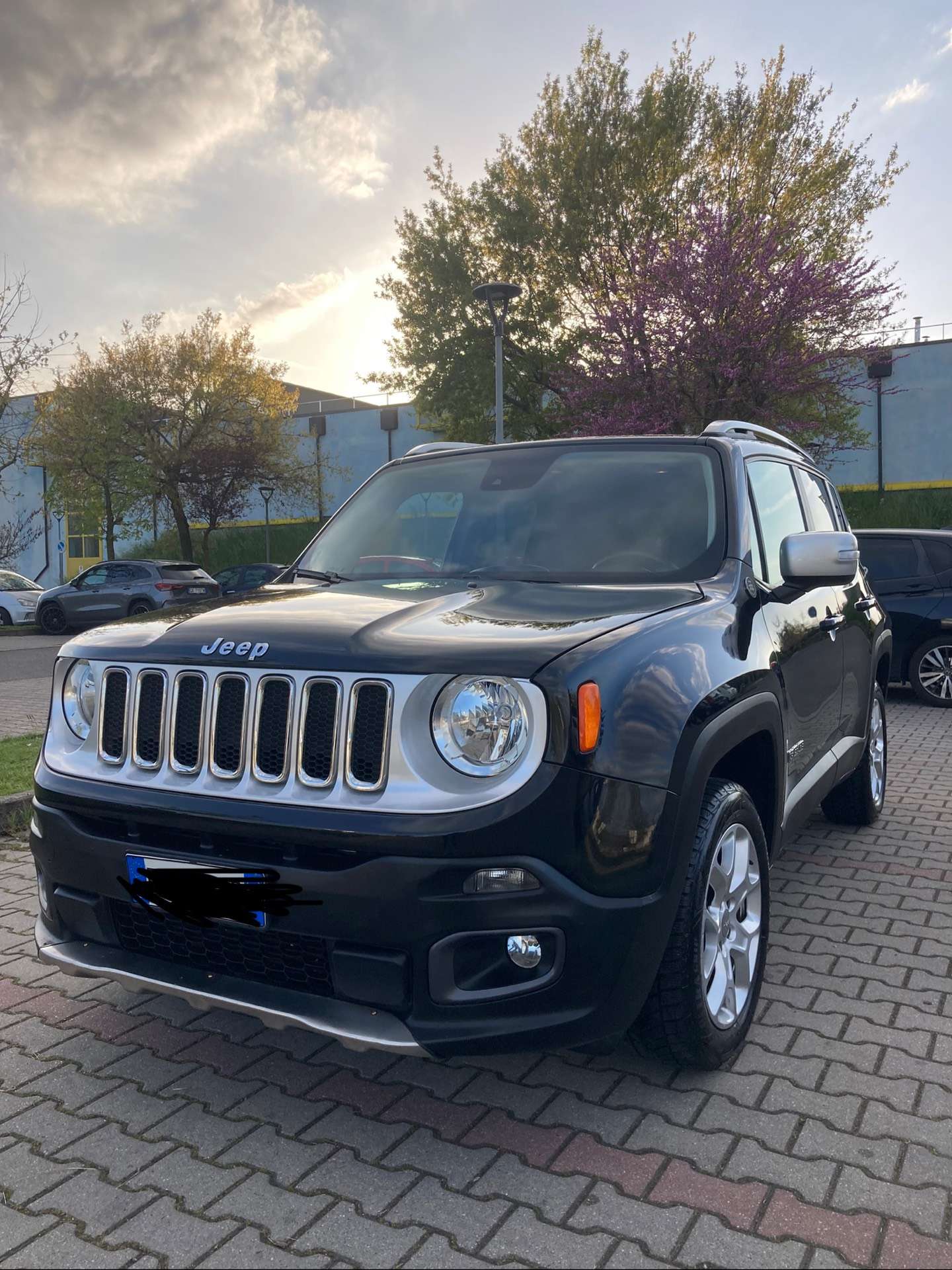 Jeep Renegade2.0 mjt Limited 4wd 140cv auto