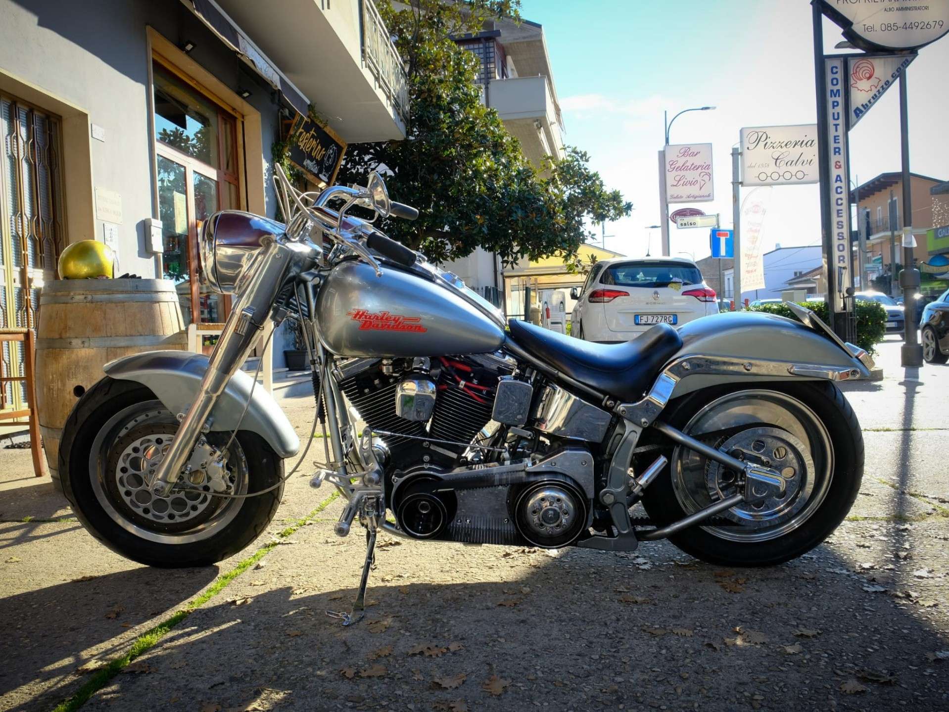 Harley-Davidson Custom Bike