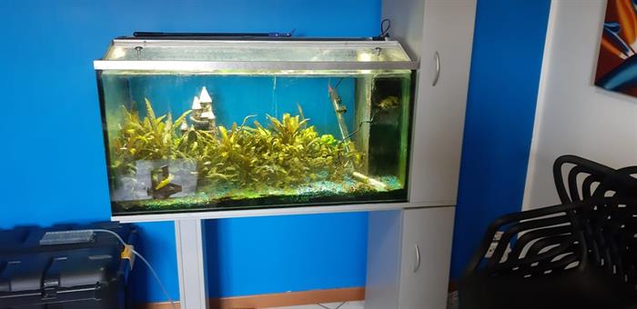 ACQUARIO 200 LITRI