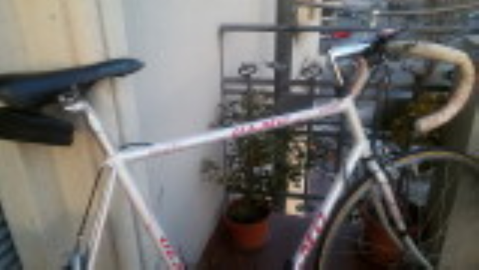 BICI OLMO