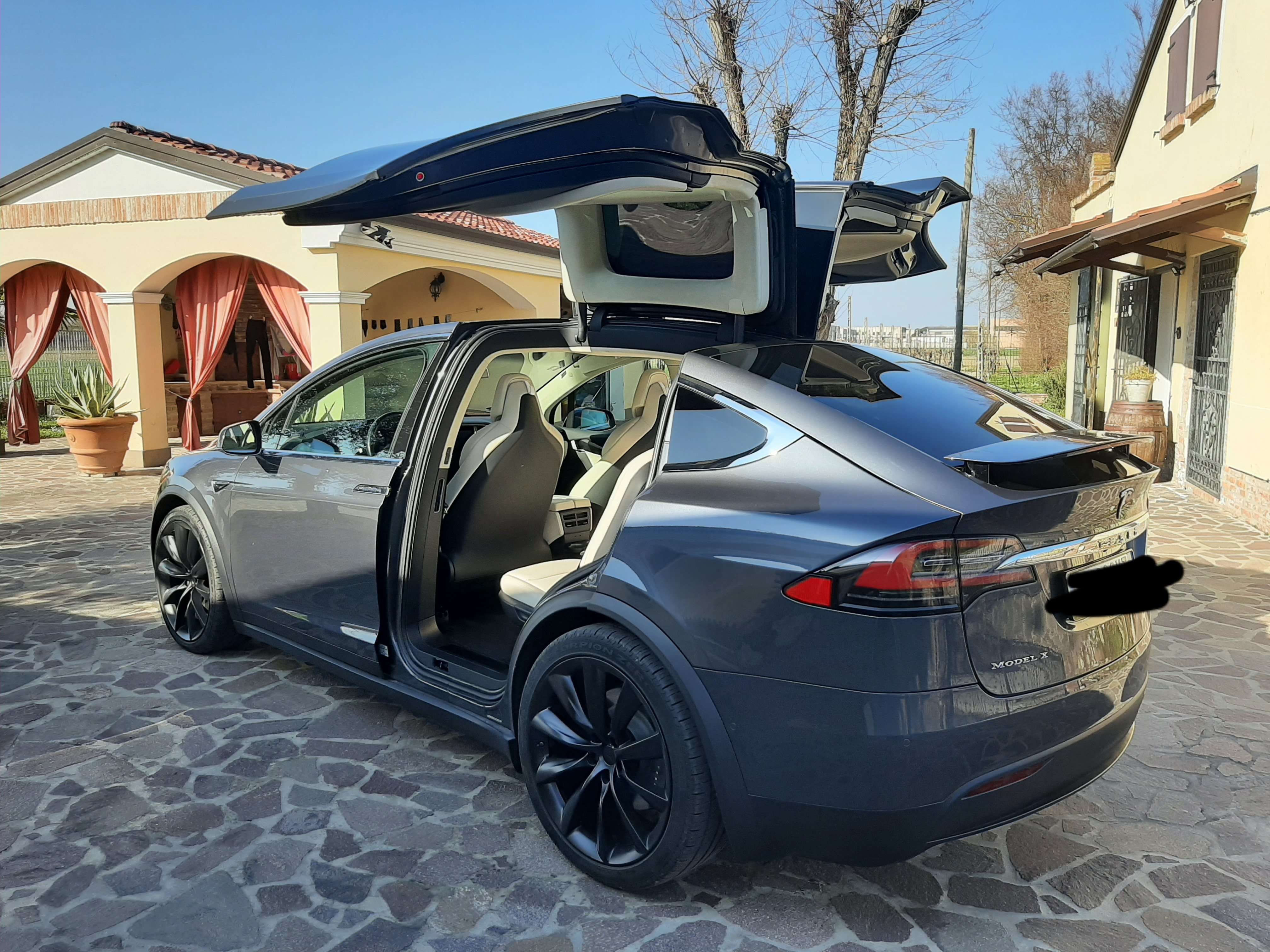 Tesla Model X100 D