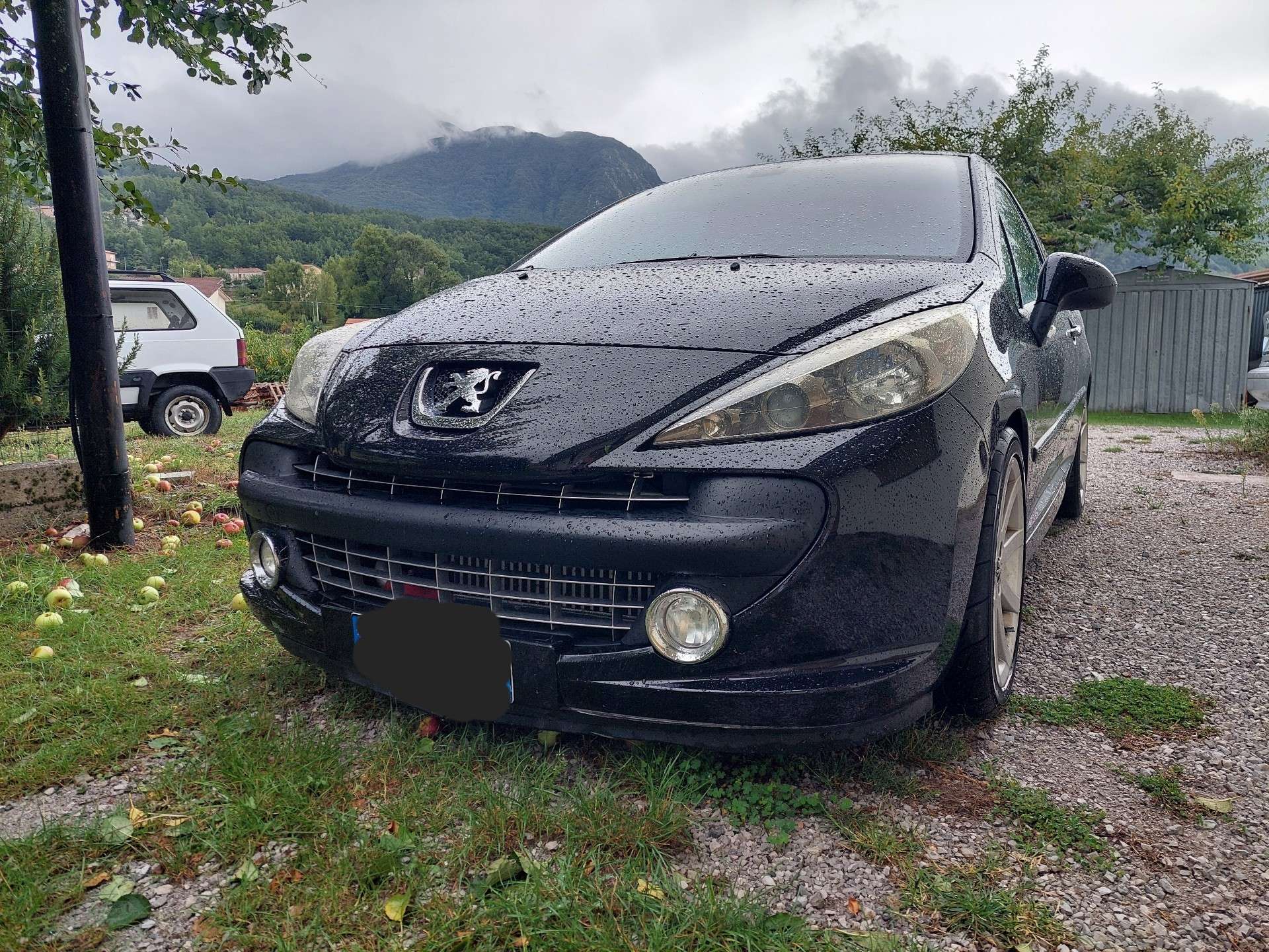 Peugeot 2073p 1.6 thp 16v Le Mans Series