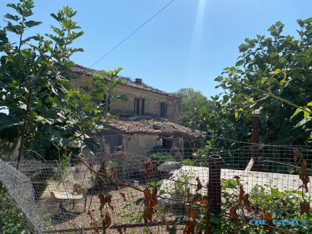 Casale con portico e oltre 3 ettari di terra