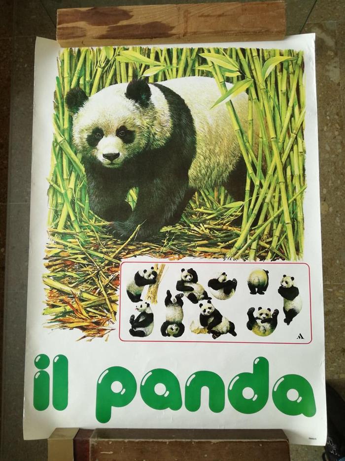 POSTER IL PANDA