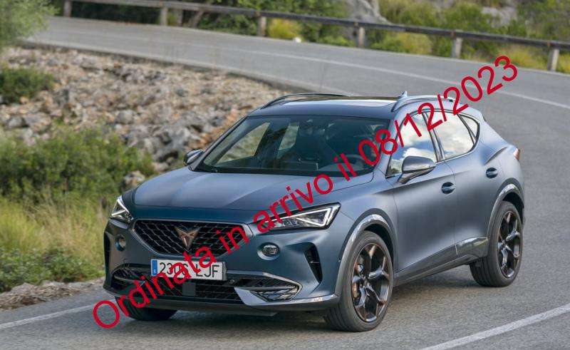 Cupra Formentor2.0 TSI 4Drive DSG