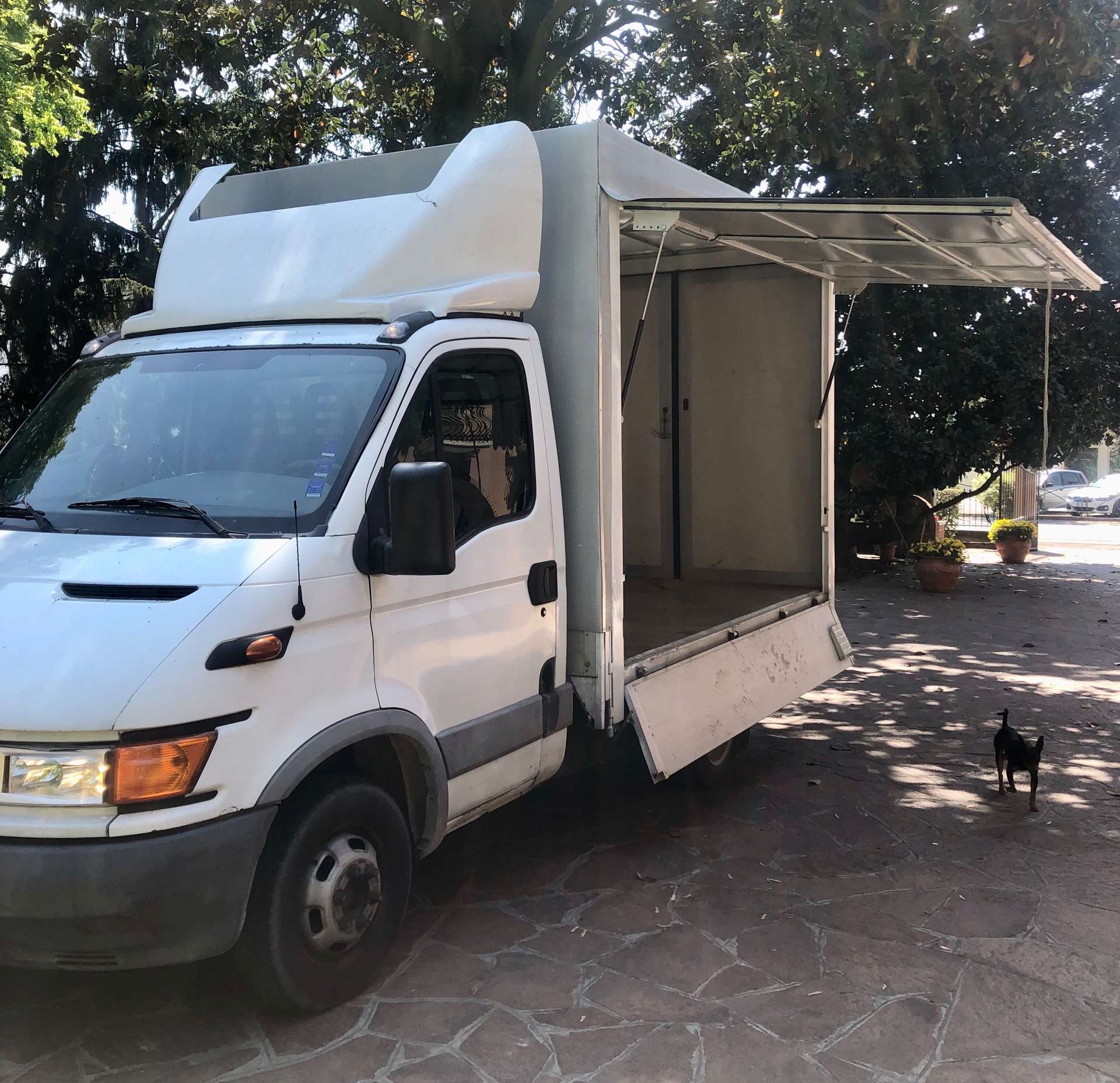 Iveco Dailycella frigo