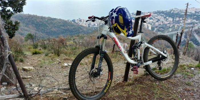 MOUNTAIN BIKE BIAMORTIZZATA GIANT REIGIN