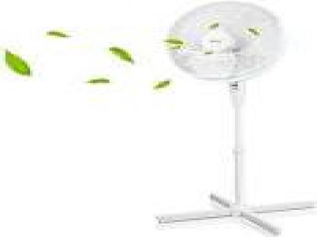 Beltel - aigostar daisy ventilatore a piantana tipo occasione