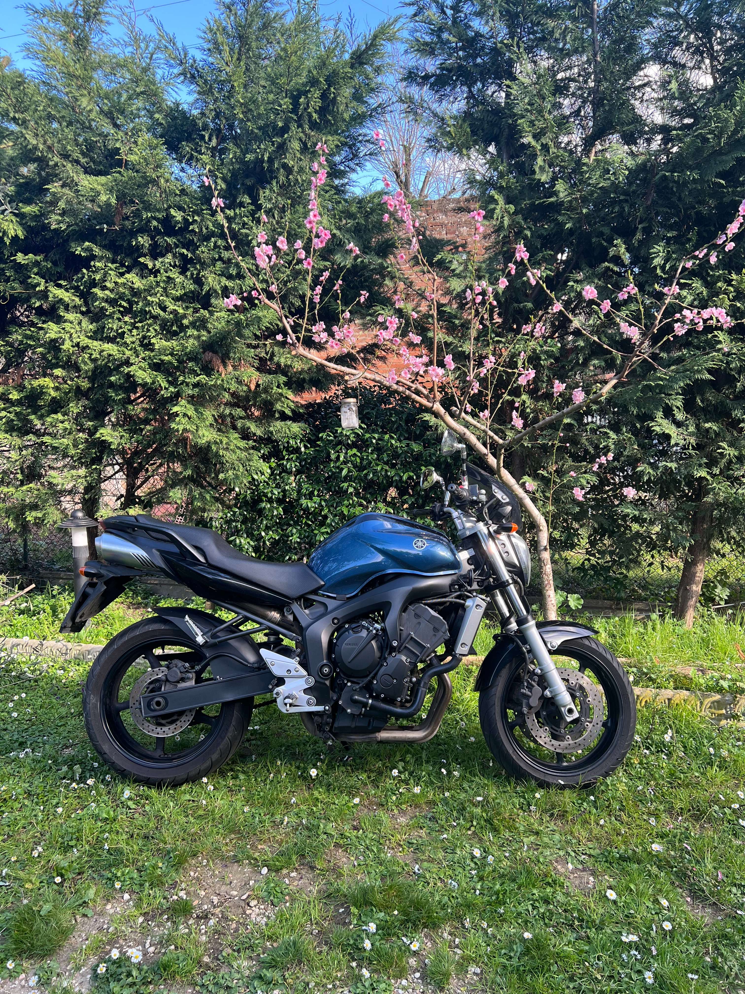 Yamaha FZ 6FZ6 (2004 - 07)