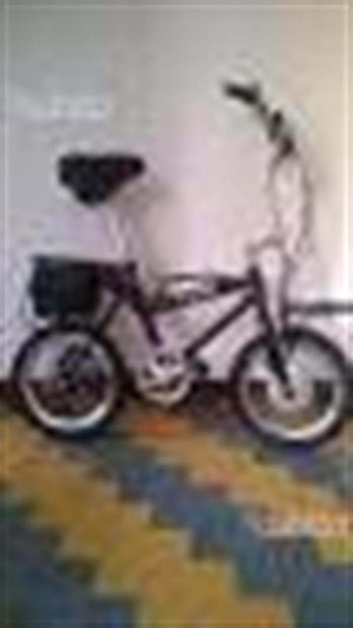 MINIBIKE ELETTRICA + GPS TRACKER