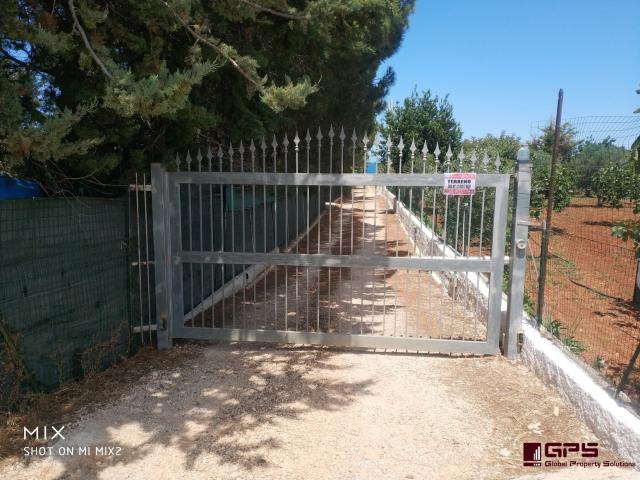 Terreno in vendita compl. cozze/polignano fronte mare