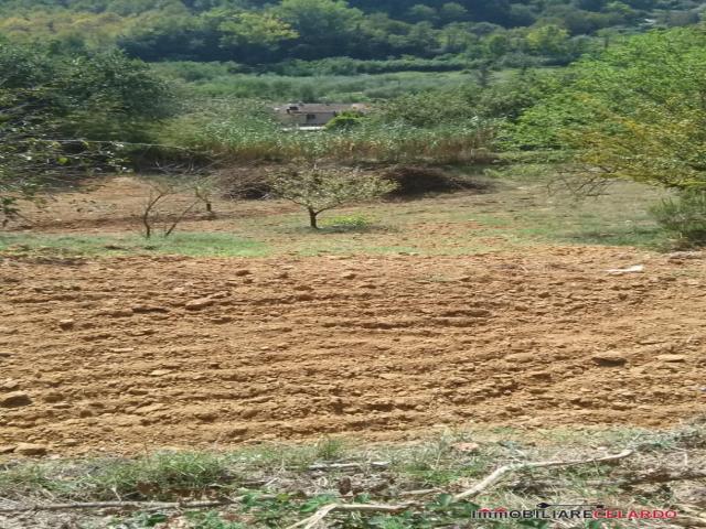 Terreno agricolo