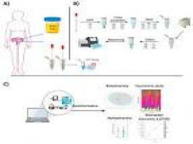 Beltel - pronomic ph12 ultimo tipo