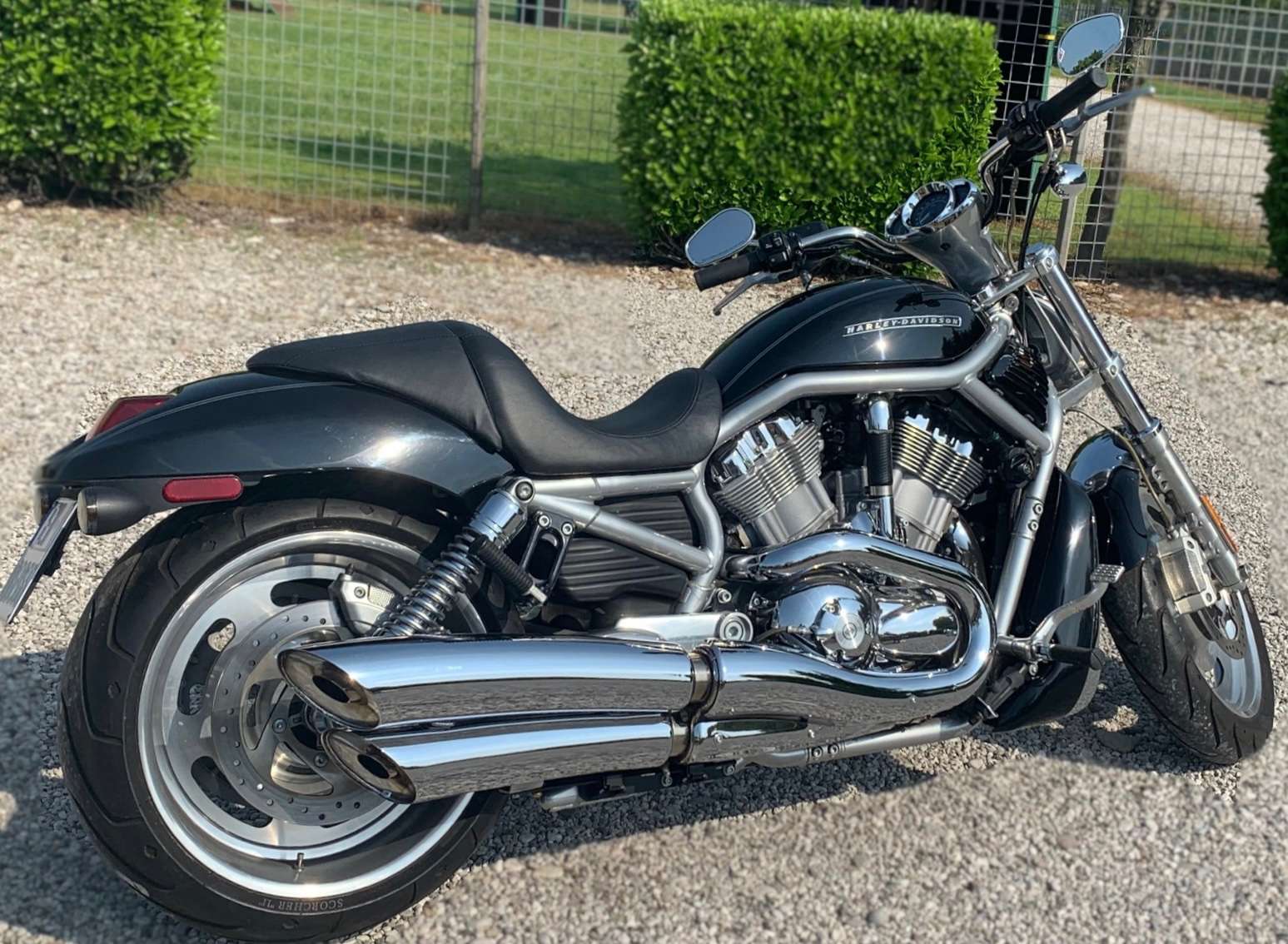 Harley-Davidson V-RodNight