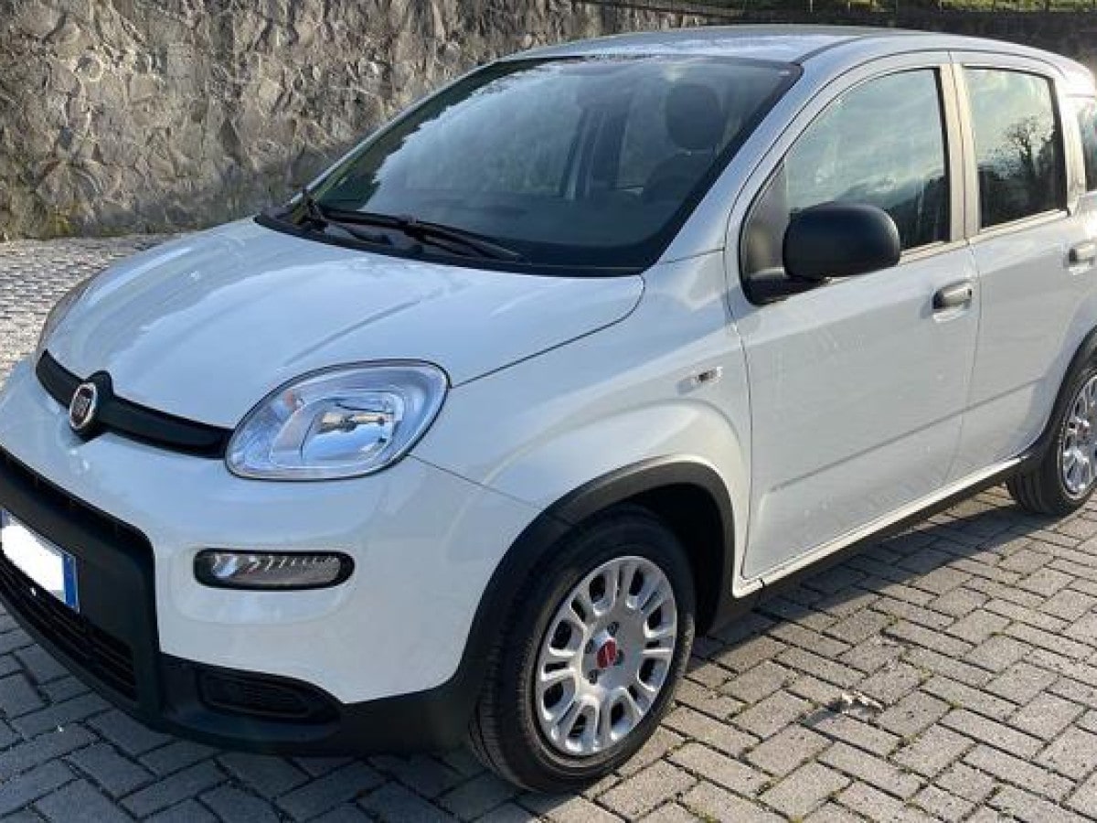 FIAT Panda 3ª serie Panda 1.0 FireFly S&S Hybrid